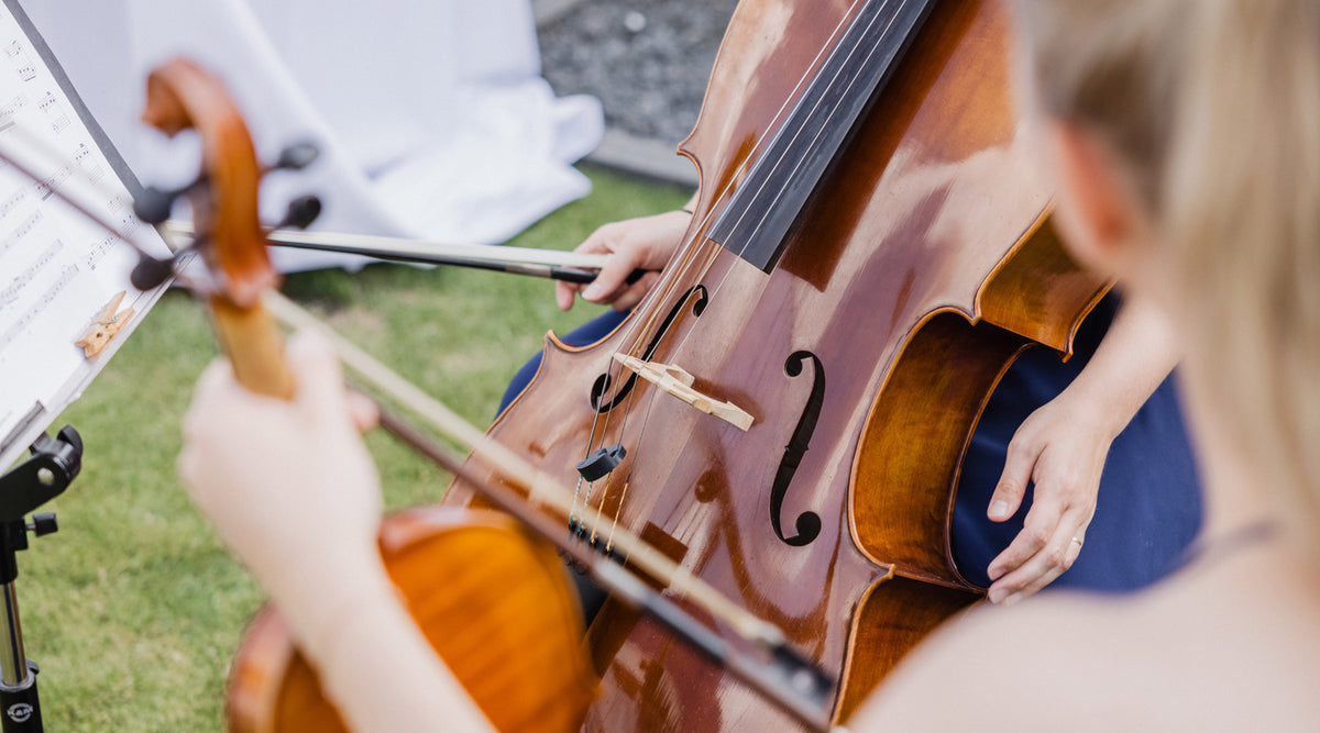 Chinese Vs European Instruments — The Sydney String Centre