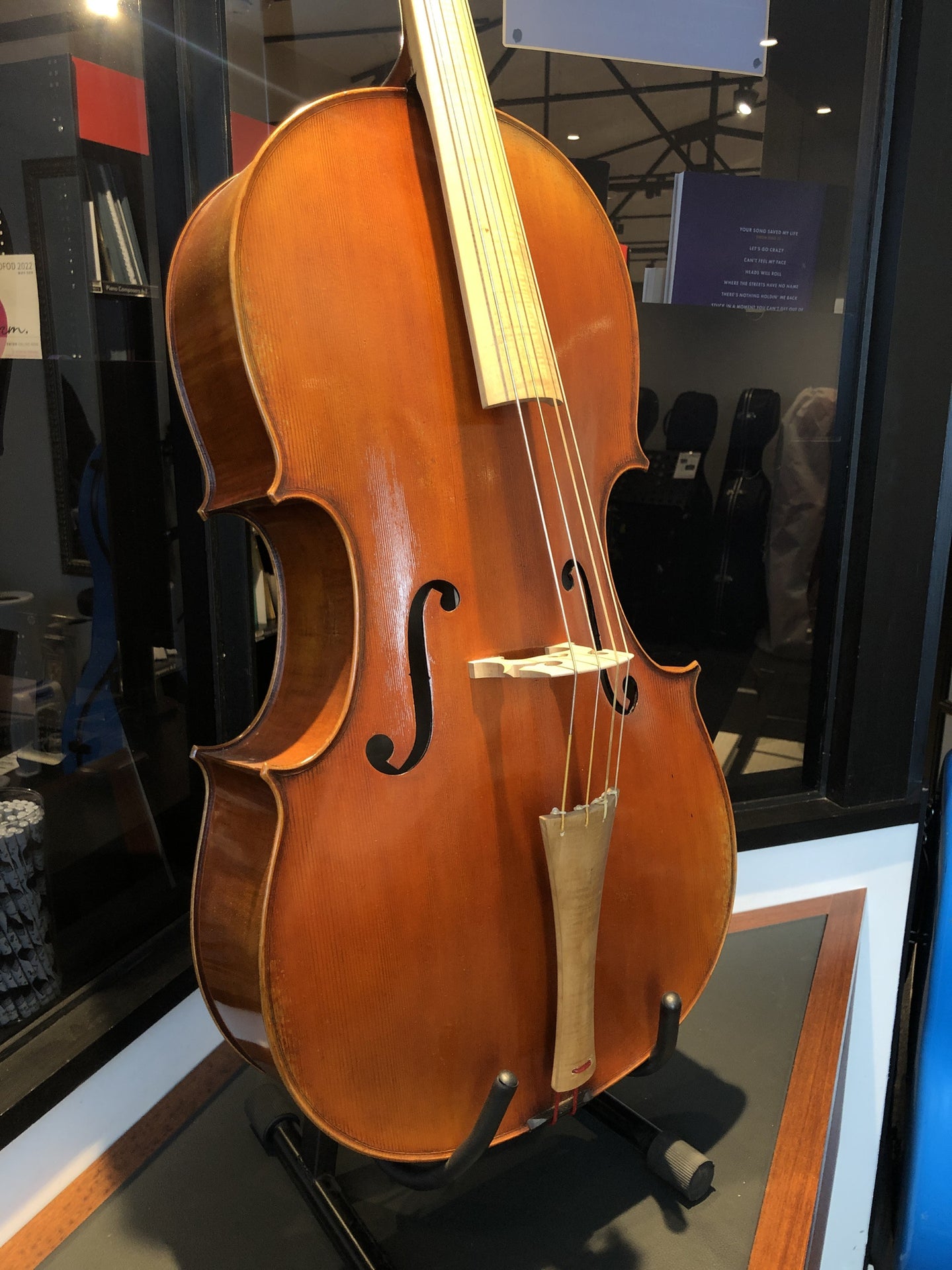 Cellos - Great Selection of Cellos for Sale Online — The Sydney String ...